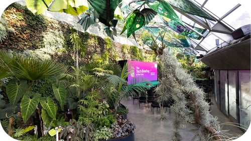 The Calyx